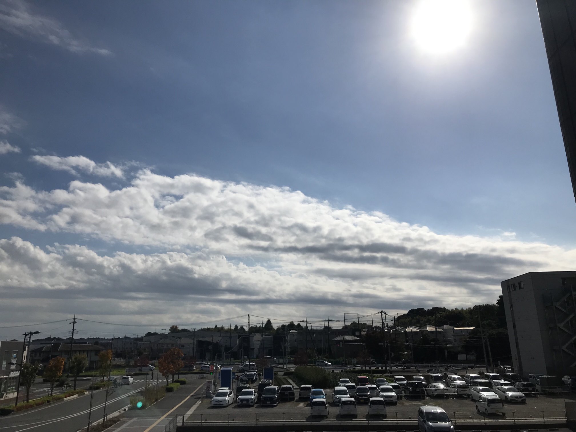 Naoki.Maruyama(ねりまたん) on Twitter: "#セイウンスカイ https://t.co/w8IICyjpvE" / Twitter