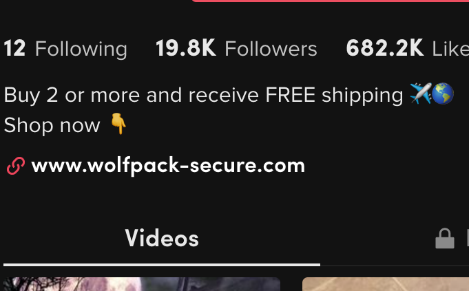 This dropshipping store made $20k in 1 day from TikTok organic. Here's how you can do the same ...