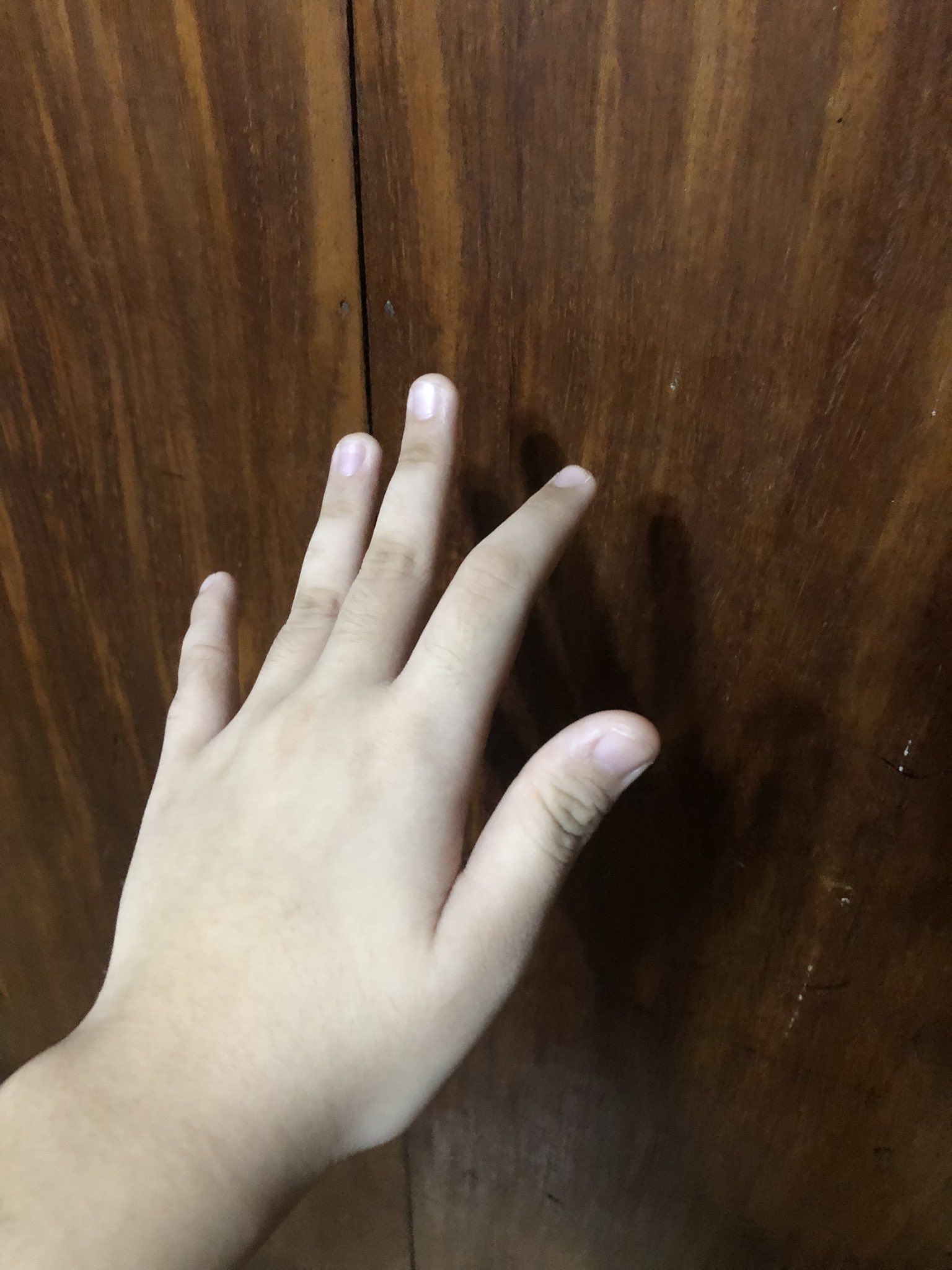 Rio | semi-ia on Twitter: "ty for 300 mooties !! as i promised @/yeparrye and everyone else that ...