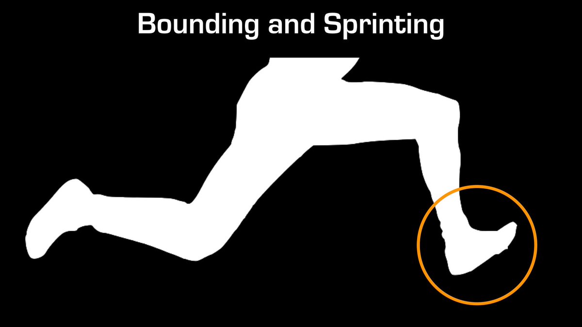 Ltad Gymnastics Clipart