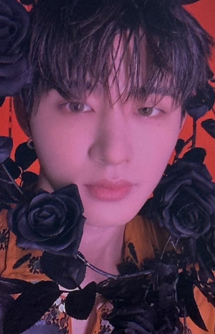 Legendary Photocard on Twitter: Legendary Photocard on Twitter: