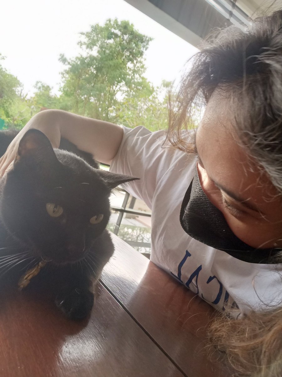 「random lng pero bb cat while my roomie w」|ෆ lise ෆ COMMS OPENのイラスト