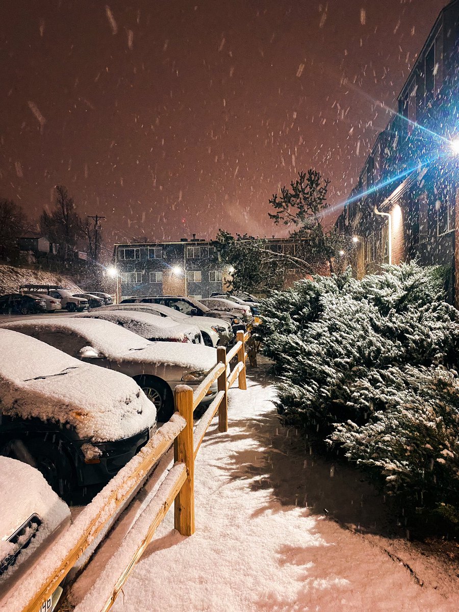 「Babies first snow !! 」|Jess ⚡のイラスト