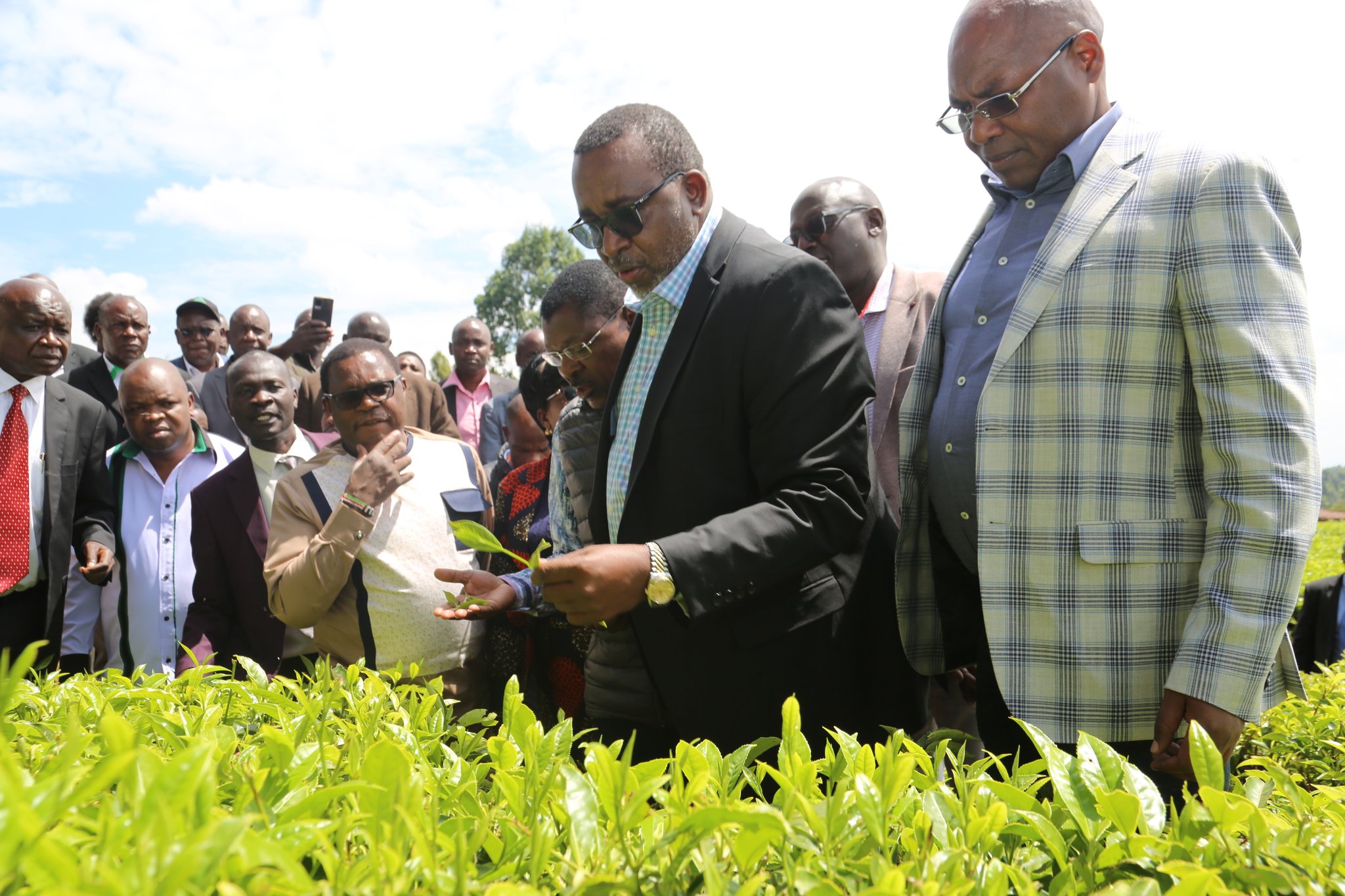 PS Harry Kimtai on Twitter: "Inspection of the Nyayo Tea Zones at Kaberwa Bungoma County, with ...