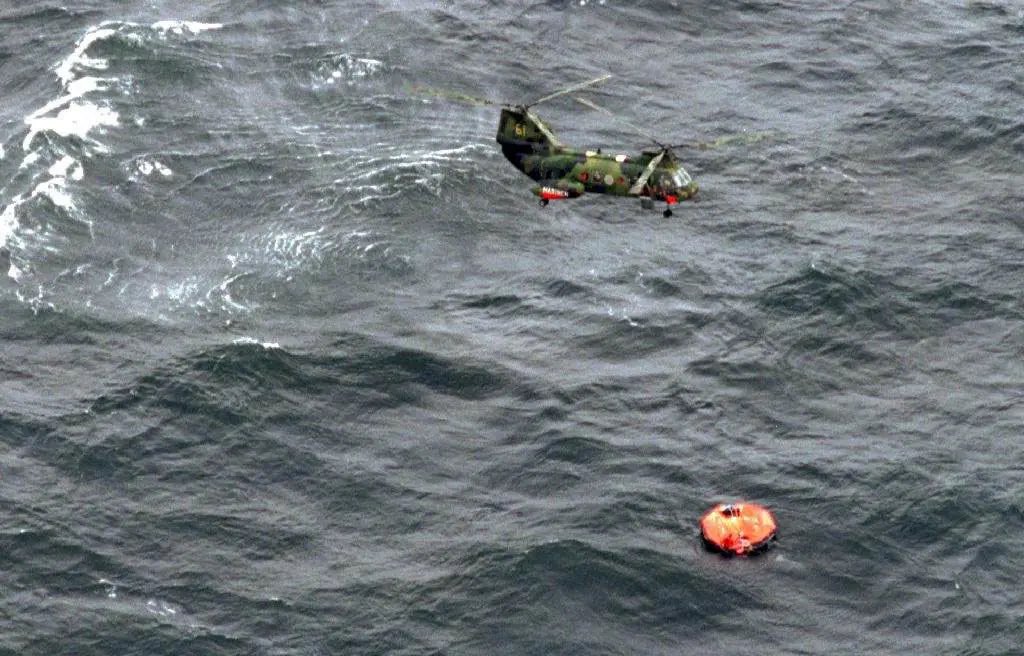 professional hog groomer on Twitter: "Helicopters don’t arrive until 2 hrs after the distress ...