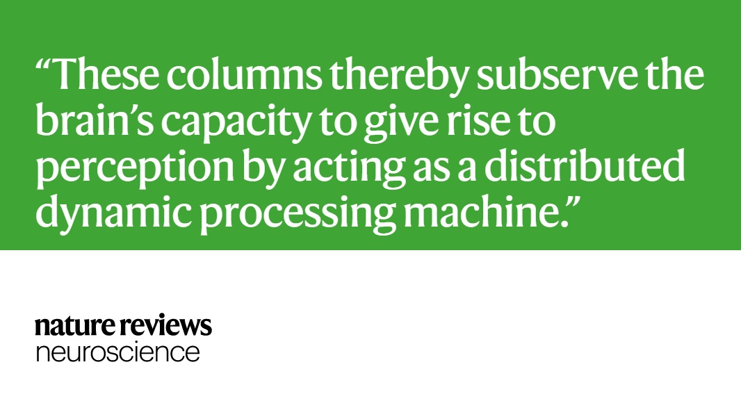 Nature Rev Neurosci on Twitter: "The neocortical column as a universal template for perception ...