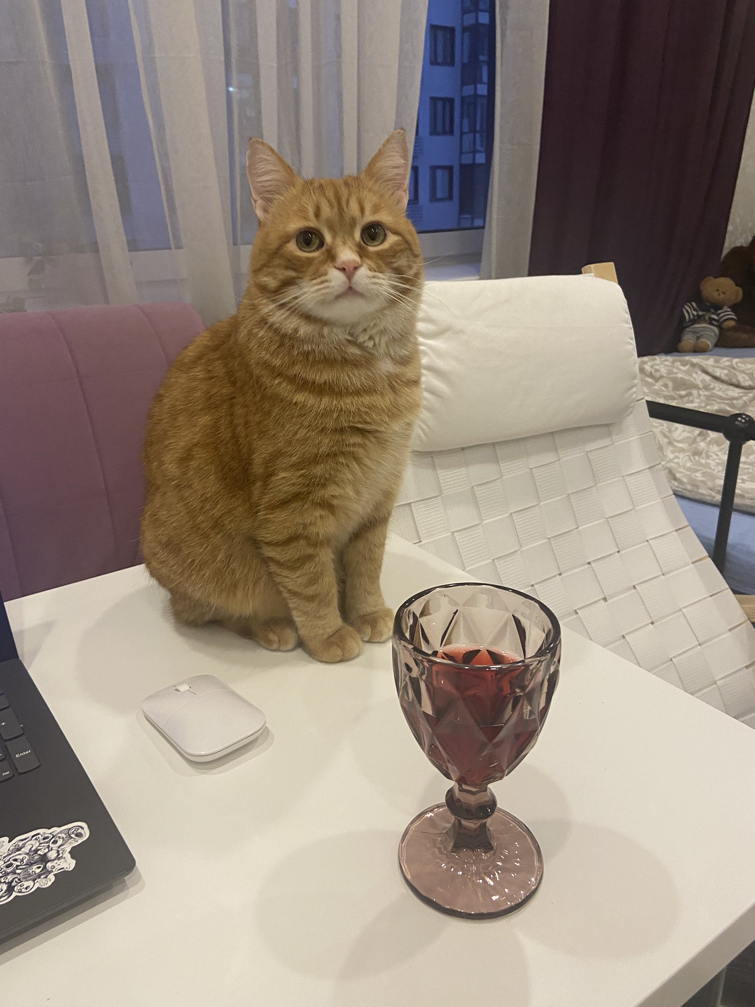 юля On Twitter ждём новую сестру или приёмную мать пока не