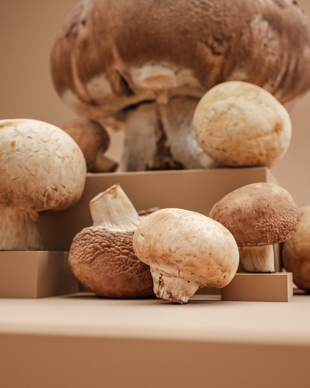 Quixel on Twitter: "https://t.co/Fn6tHpklWI" / Twitter