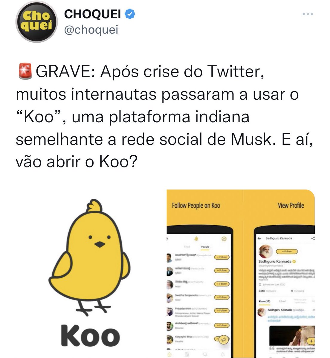 Erlan Bastos on Twitter: "RT @erlan_bastos: Acabei de abrir meu Koo, quem quiser que eu entre no ...