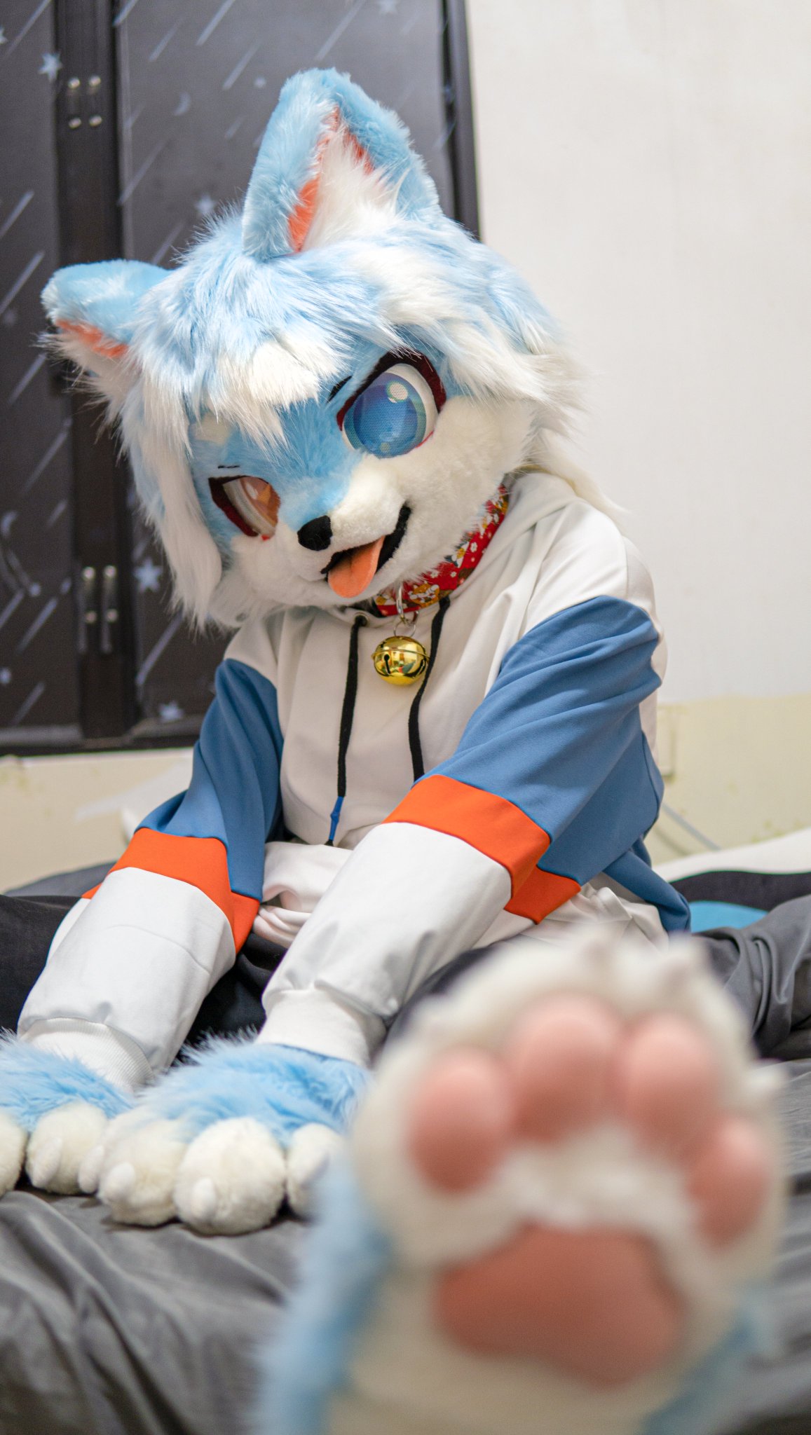 欧狼 on Twitter: "#FursuitFriday 怎么会有变态从这个角度拍照呀【小声 📷: @kukalakuku 尽管个人简介有写但谨防推特暴死还是贴个链接 Telegram 看 ...