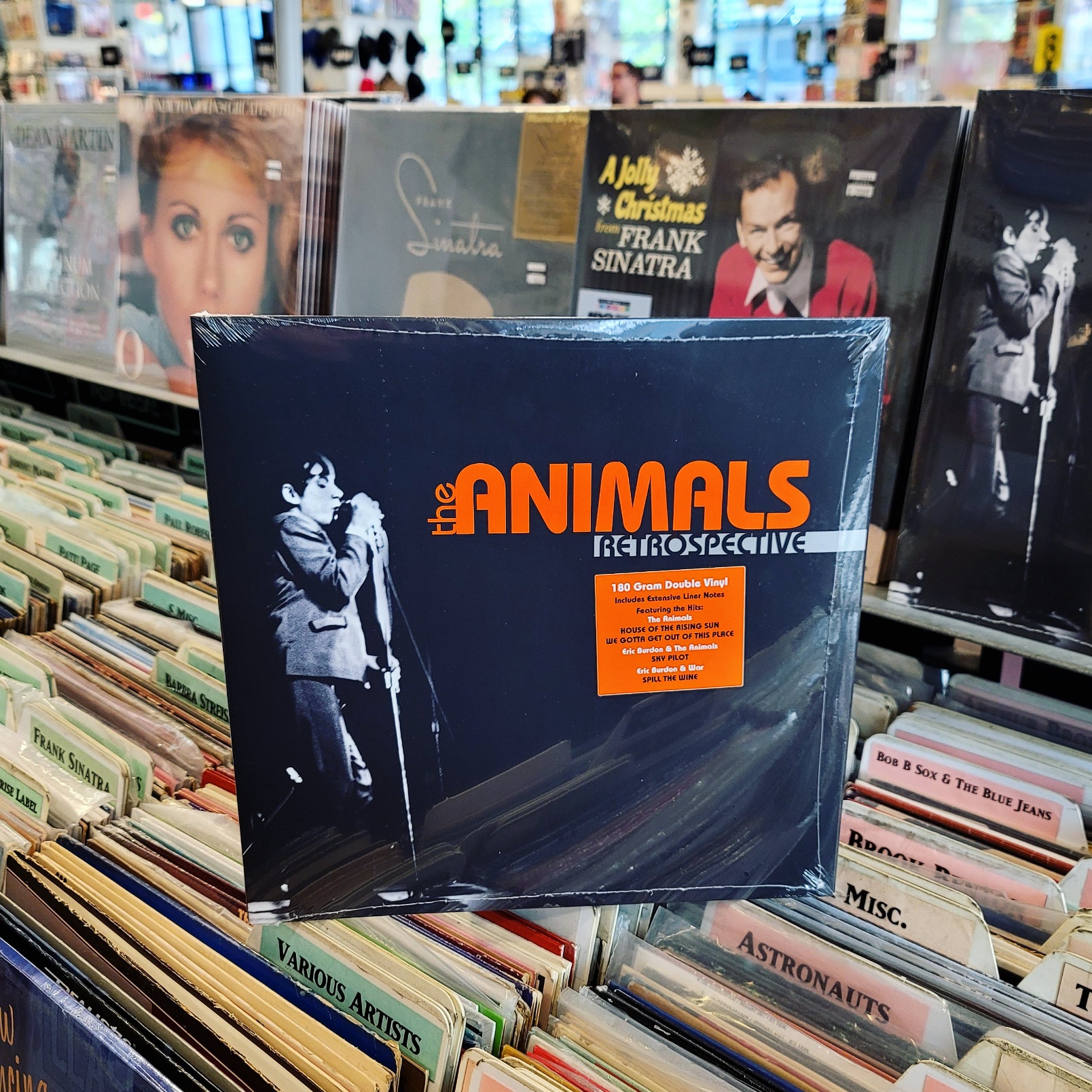 Retrospective The Animals