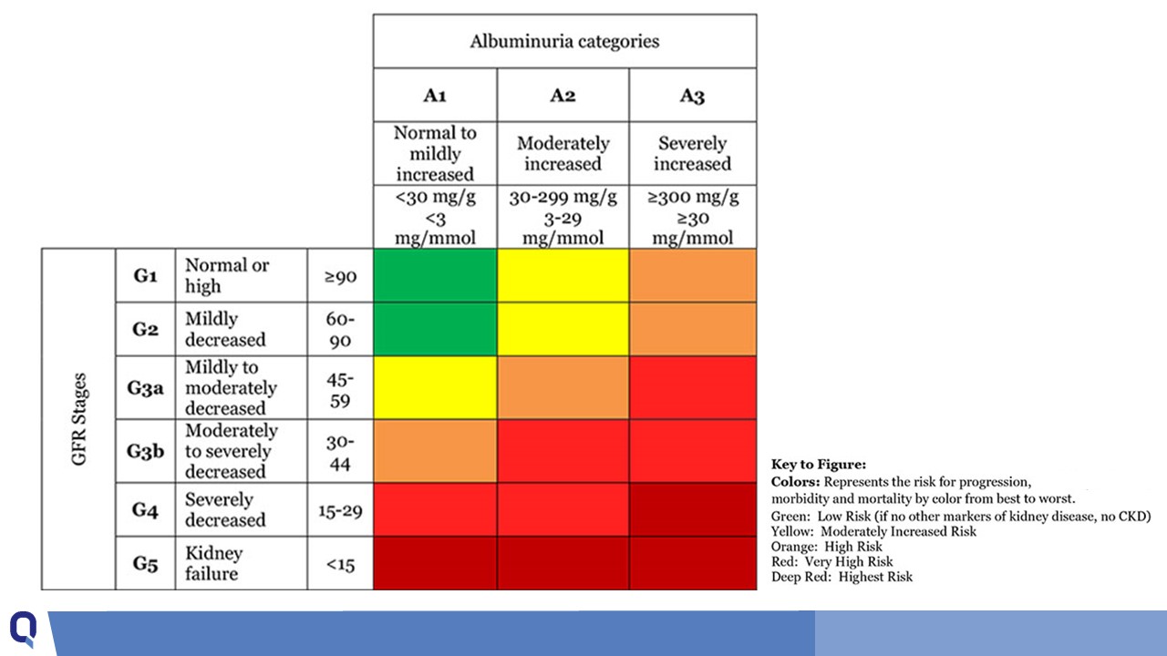 Ckd Heat Map