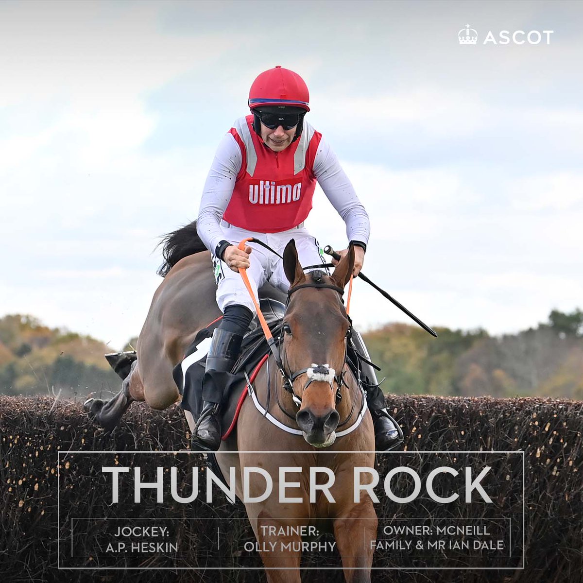 Ascot Racecourse on Twitter: "🐎 Thunder Rock 📍The Racing Welfare Novices' Limited Handicap ...