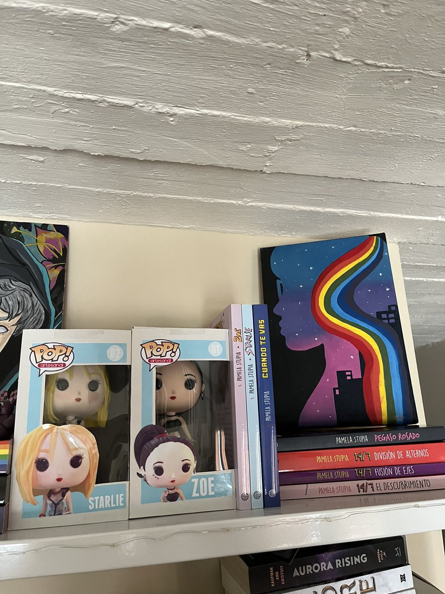 Pame Stupia on Twitter: "Estoy ordenando la biblioteca y miren este estante con mis libros y l ...