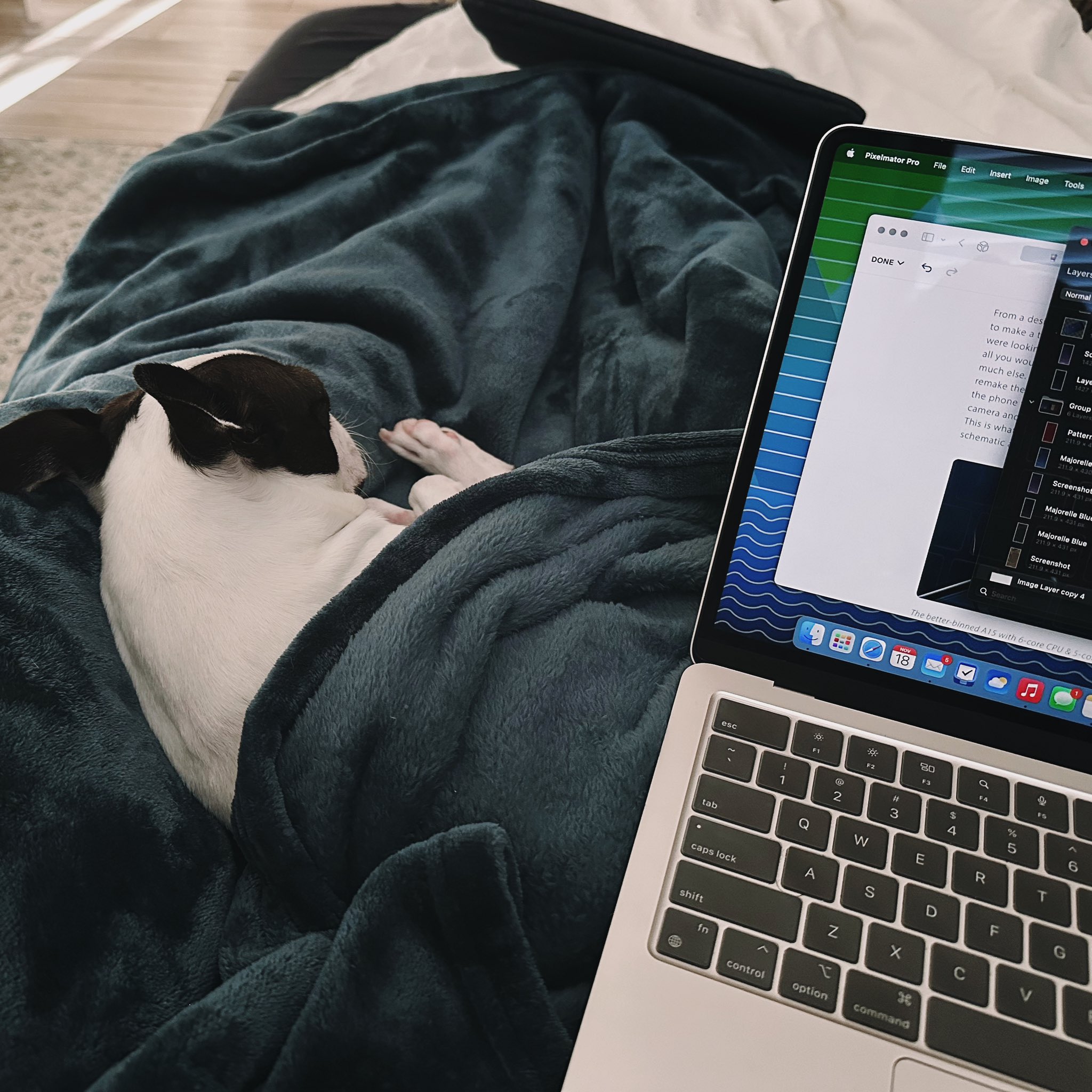 Basic Apple Guy on Twitter: "Have my bestie keeping me company while I take a sick day. 🤒 https ...