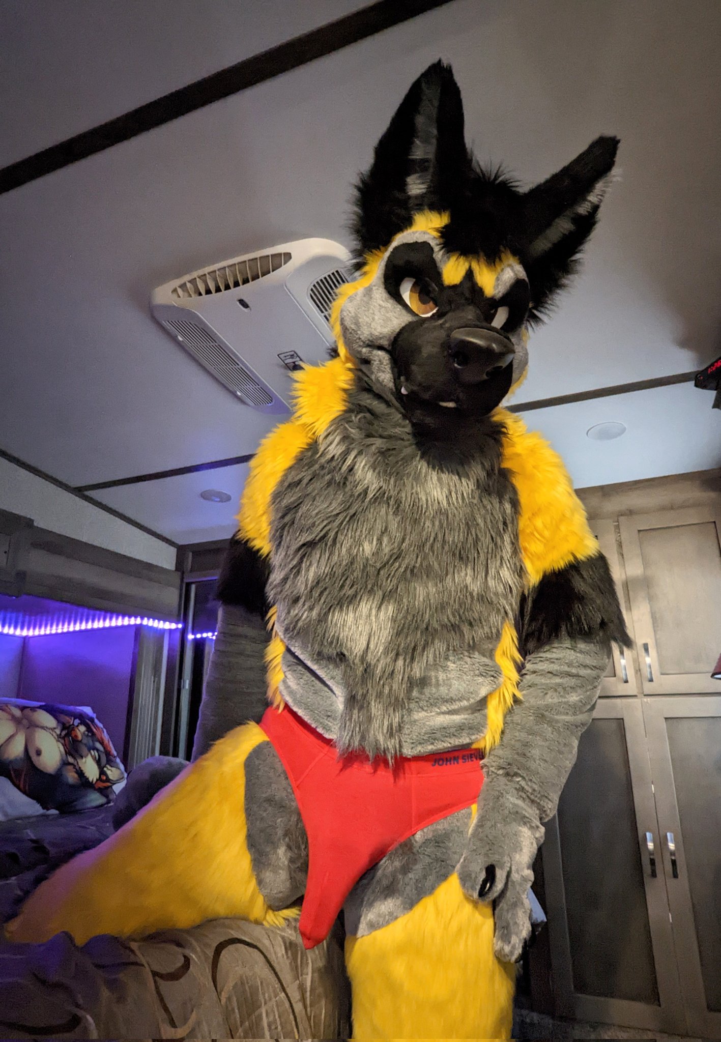Xion - 🔜@MFF on Twitter: ""Well, now that we're alone~" 😏 #FursuitFriday Wearable by FetishZone ...