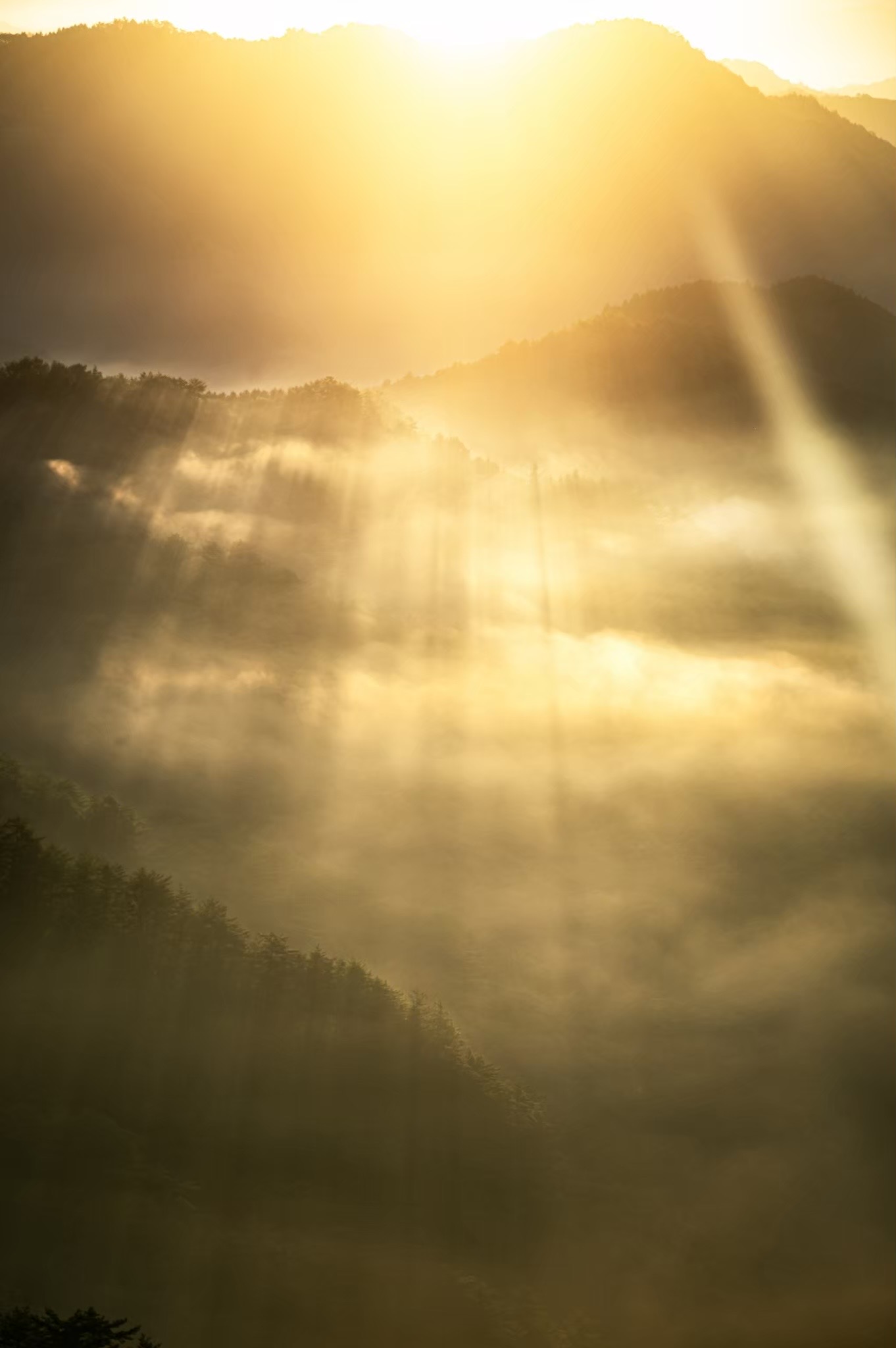 OWL on Twitter: "RT @hirography_321: 朝陽を浴びた雲海が最高でした https://t.co/Pw0HwGRtZk" / Twitter