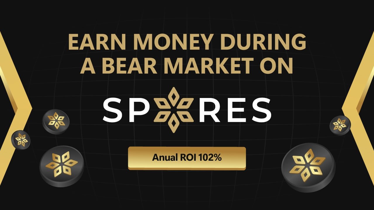 Spores Network on Twitter: "💰 How To Earn Money During a Bear Market? Spores network launchpad ...