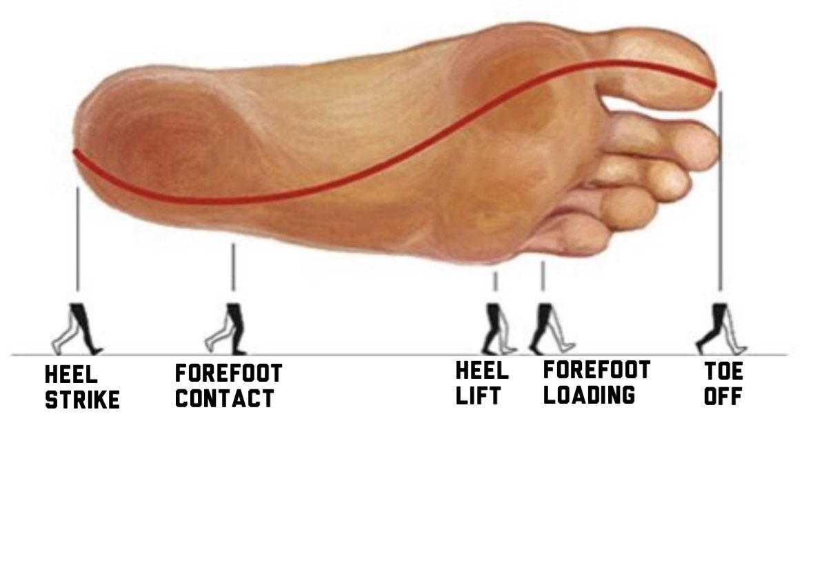 Have you walked your entire life incorrectly!? • Let’s dive into the ...