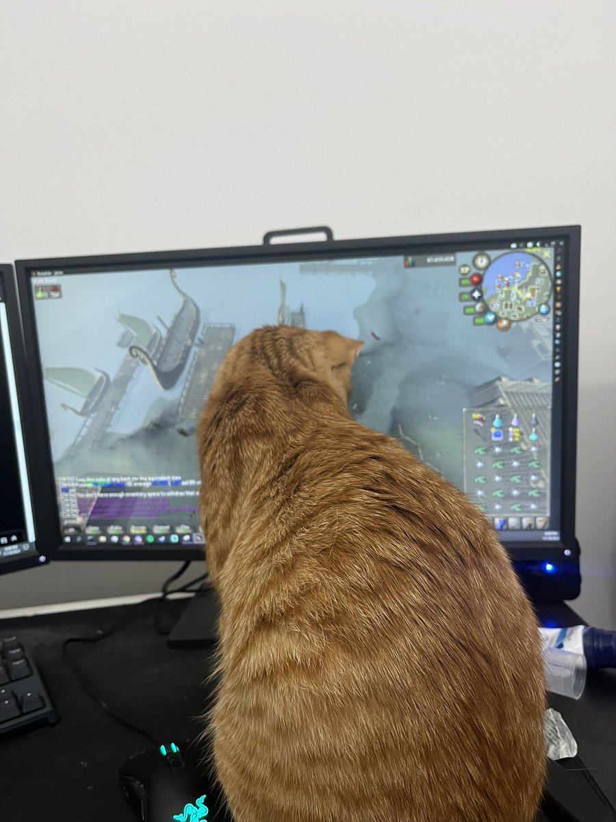 Jesse ️🔜 jovial homunculus on Twitter: "i tried anyway and something else killed me holy fuck ...