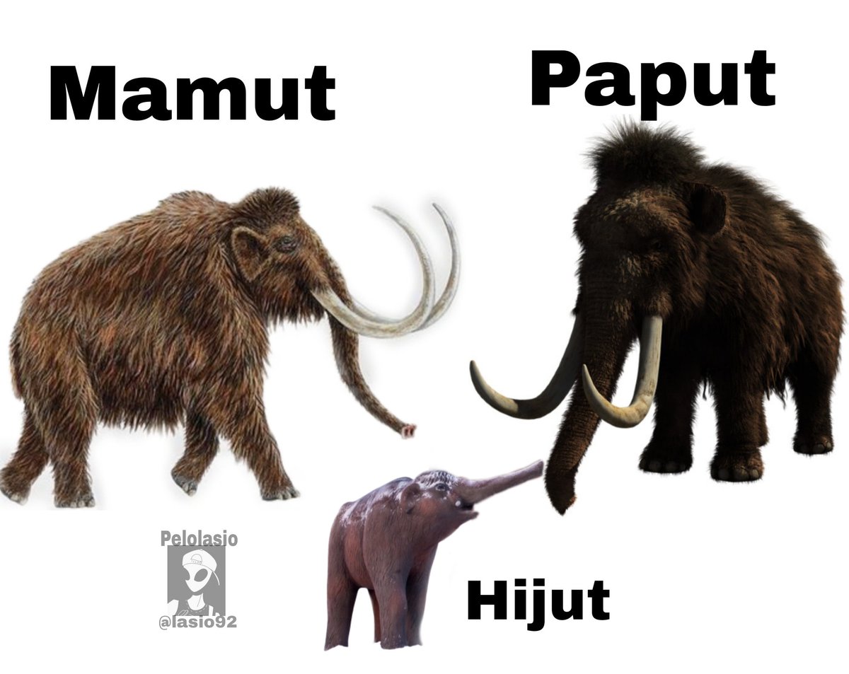 Mastodonte Y Mamut