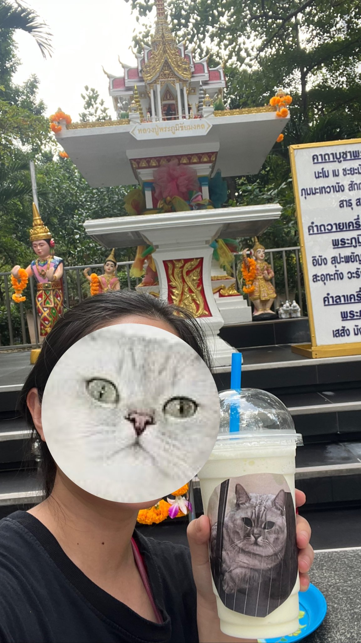 padthai on Twitter: "สำเร็จไปแล้ว2อย่างครับ55555555555 #BORNPINKinBANGKOK #BORNPINK #BLACKPINK ...