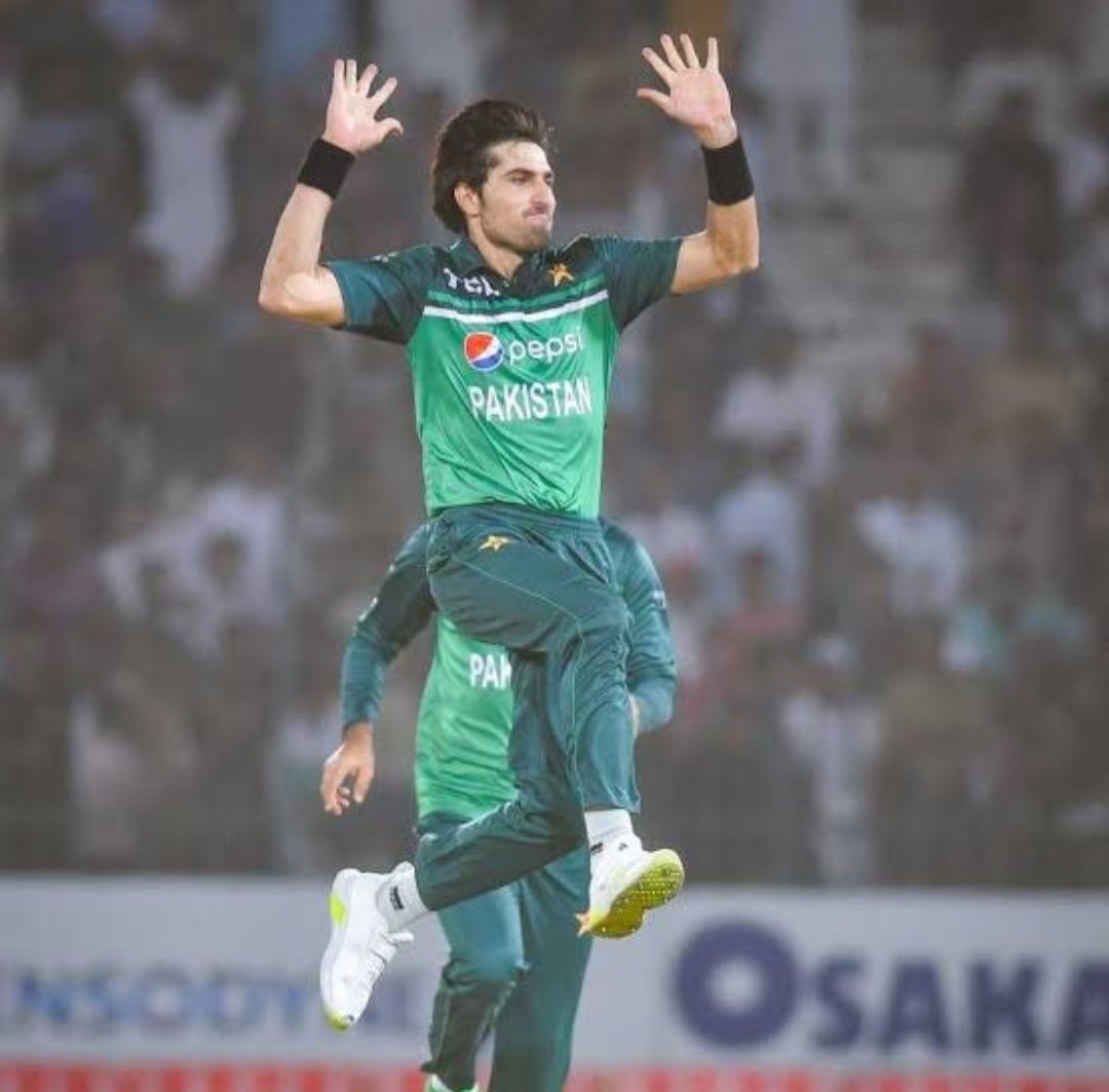 Minahil*-*CRICKET♡ on Twitter: "Day 33 of tweeting until @Wasim_Jnr replies💚💚 https://t.co ...