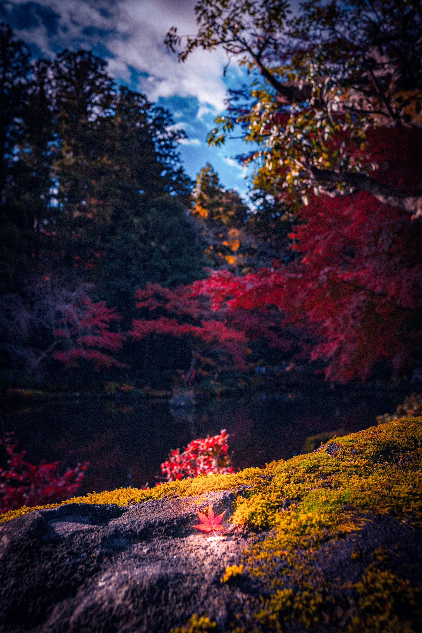 Kanata on Twitter: "RT @Ozora_Yukari: この瞬間だけは主役でいさせて https://t.co/C7EfCdgzYZ" / Twitter