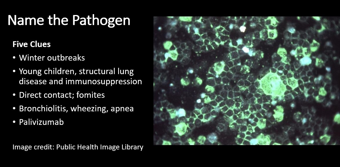 Weekend Digest Name the Pathogen Five clues 1. Seasonal #outbreaks 2 ...