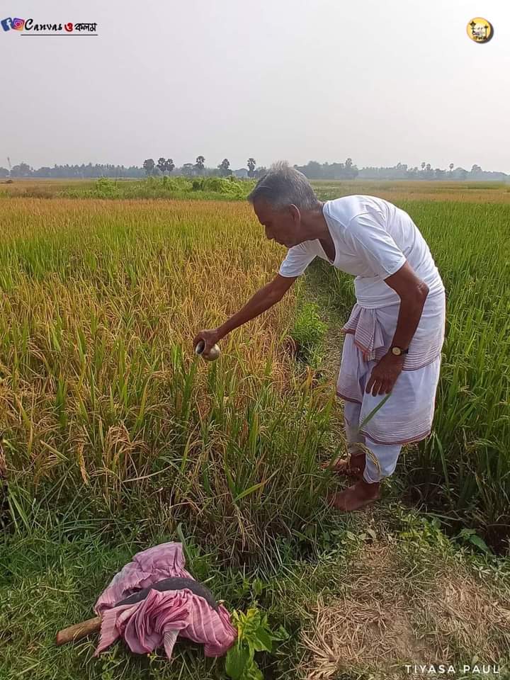 This is how Bengalis welcome the new crops. By invoking Annapurna ...