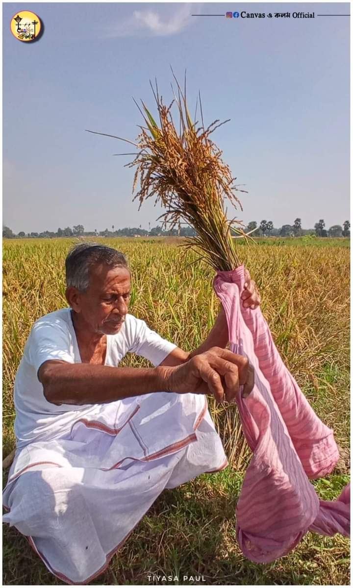 This is how Bengalis welcome the new crops. By invoking Annapurna ...