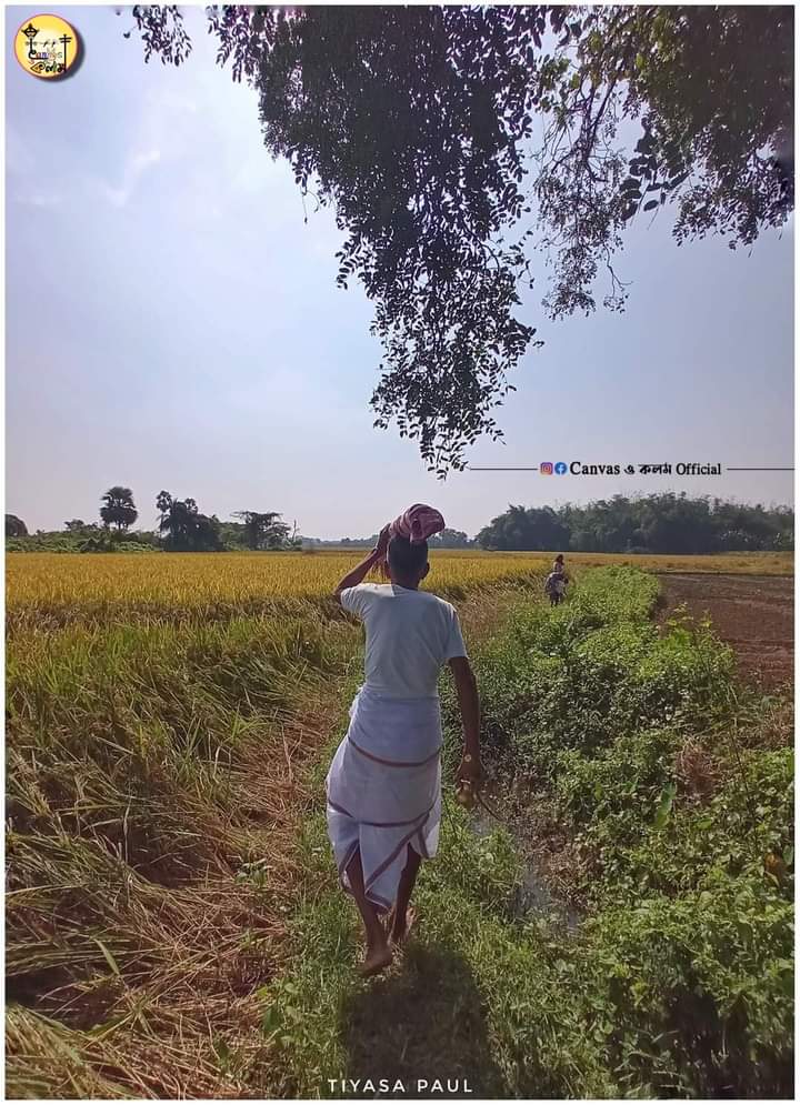This is how Bengalis welcome the new crops. By invoking Annapurna, Lakshmi, Kartikeya, the first ...