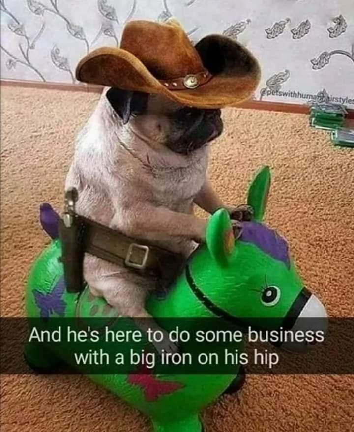 Niche Gamer on Twitter: "https://t.co/3AZKYlBWAt https://t.co/g3X0NSK2SL" / Twitter