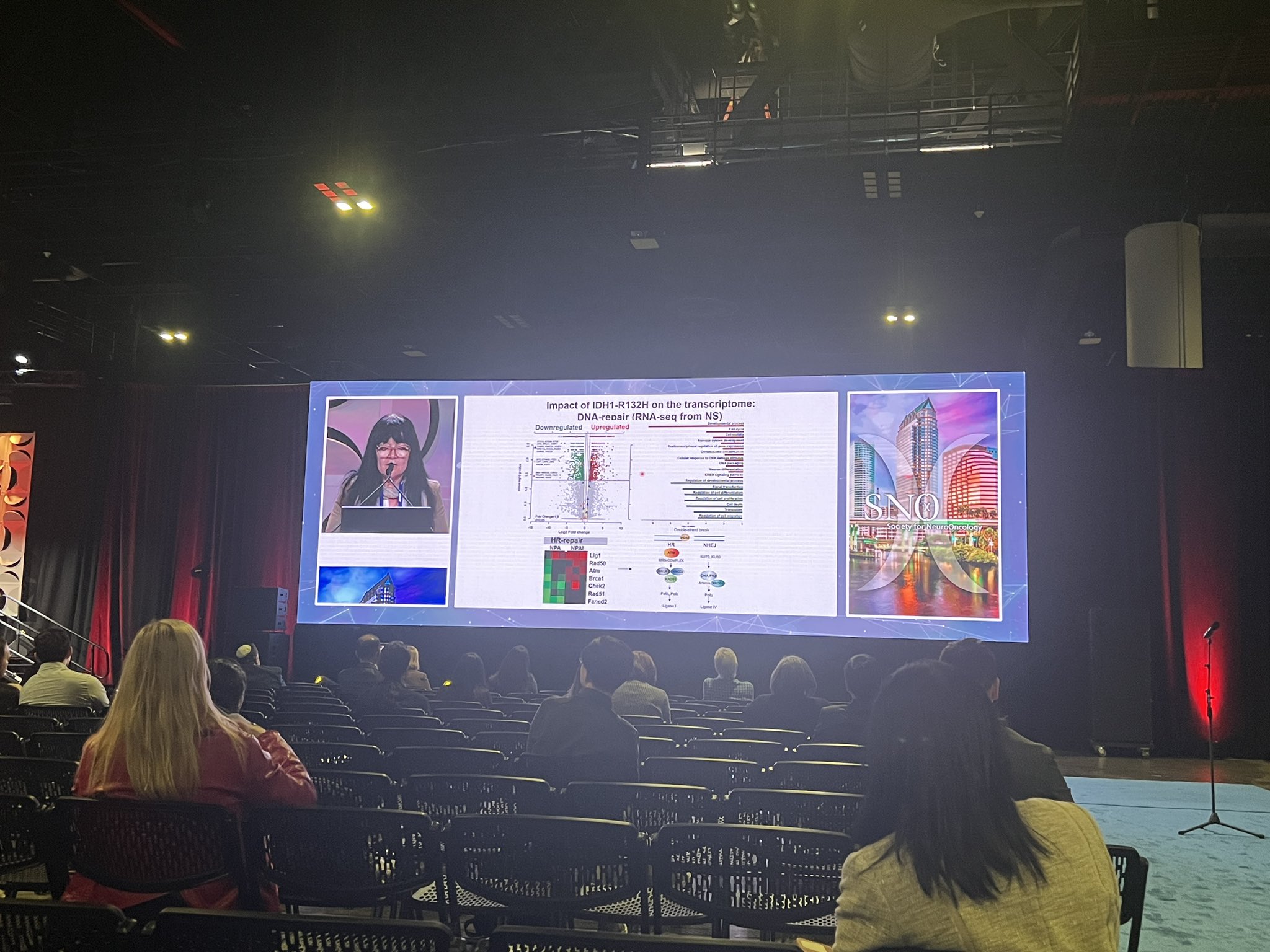 Manish Aghi, MD PhD on Twitter: "Wonderful concurrent session on tumor immortality at #SNO2022 ...