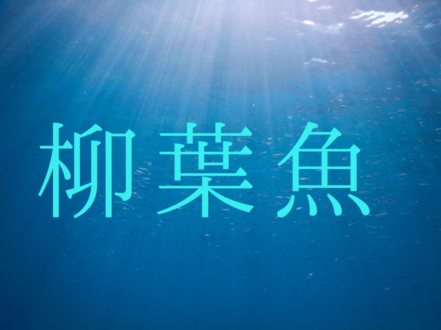 ツナマヨ on Twitter: "126-3 （株）BSC @BSC201911 カナ @makeup_kana ぽかぽか @ho_no_bo_no1 がんちゃん @ganchan_gan1 ...