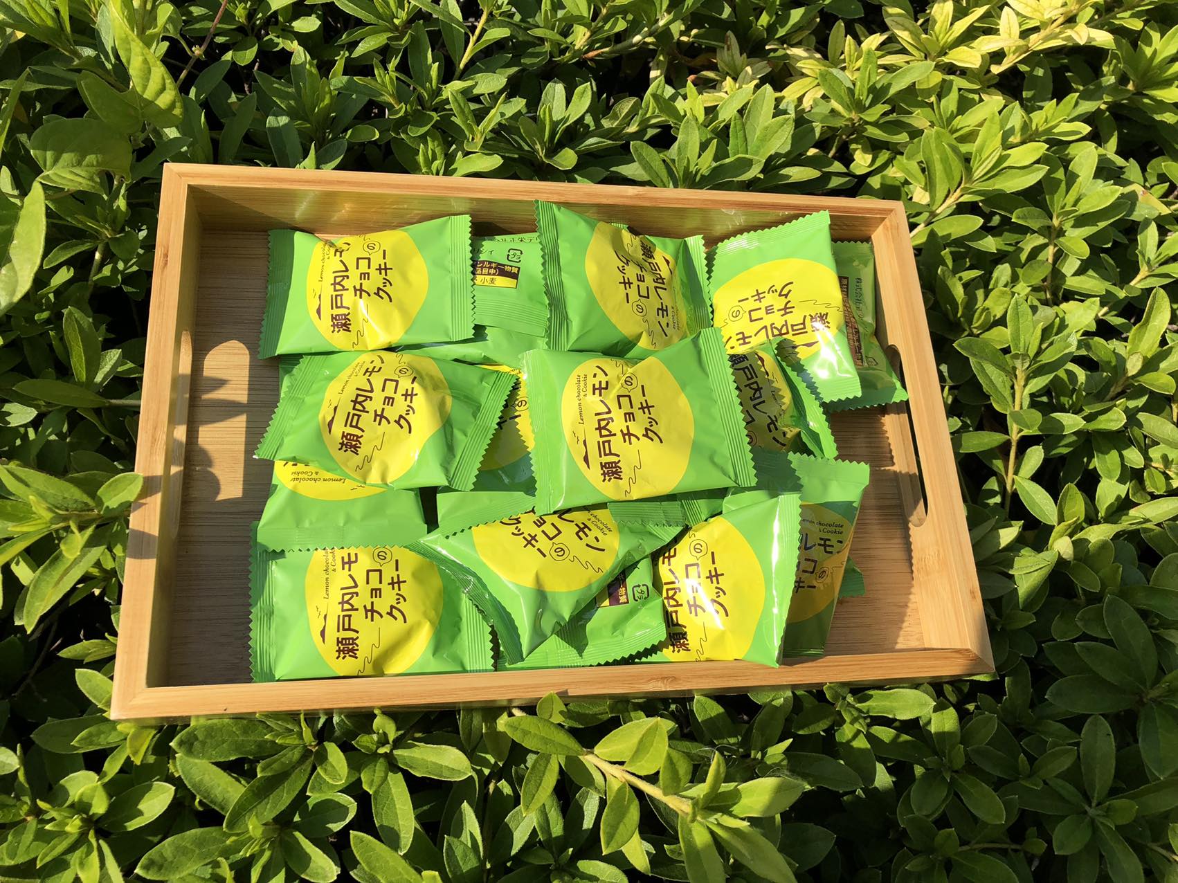 TOAmart桜井店 (@toamartsakurai) / Twitter