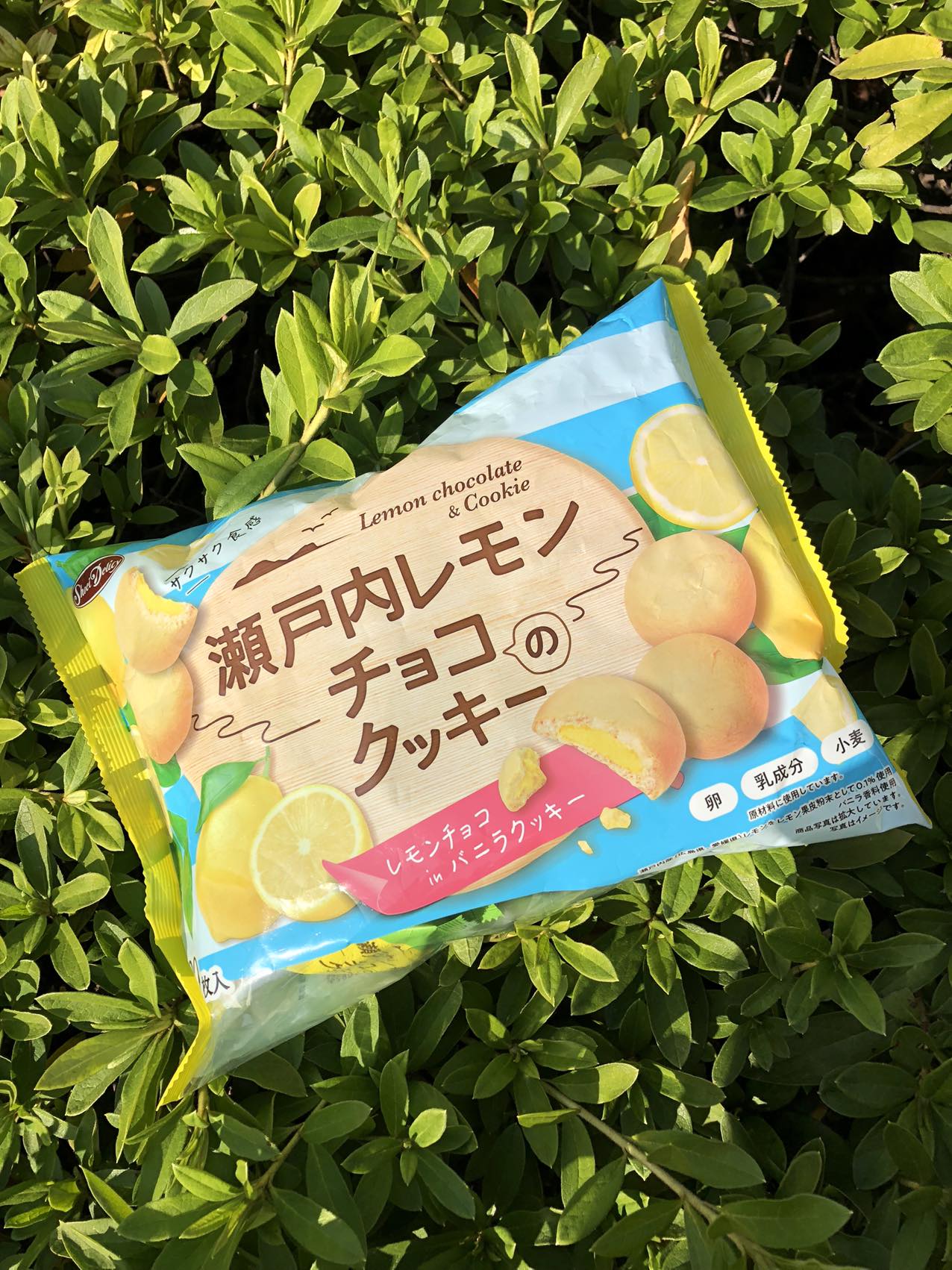 TOAmart桜井店 (@toamartsakurai) / Twitter