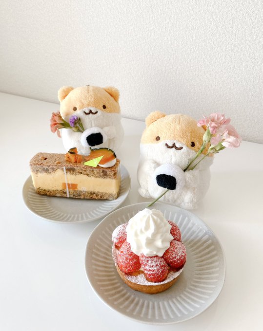 suyao/すやはむアルバム (@sysysuyao2) さんのモデル作品まとめ (14 件) - Twoucan