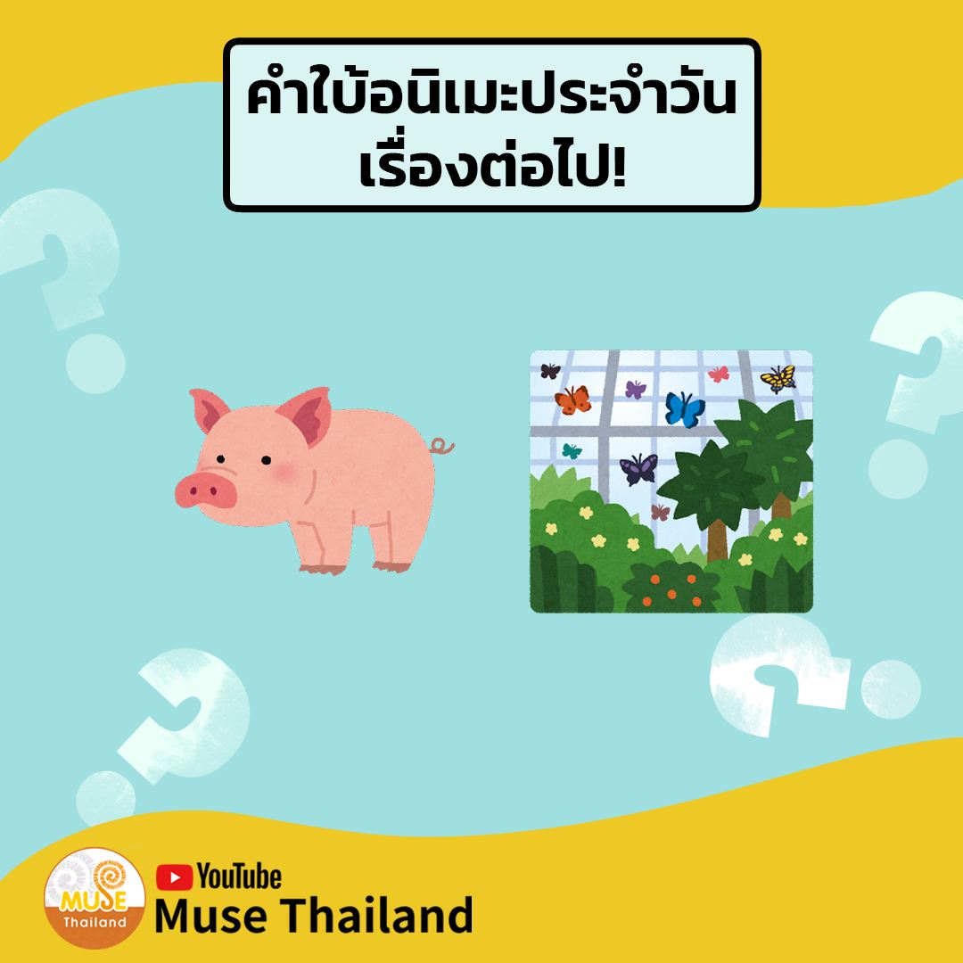 Muse Thailand on Twitter: "💡【คำใบ้อนิเมะประจำวันเรื่องต่อไป】💡 ในวันที่ 9 พฤศจิกายนนี้นี้ก็จะมี ...