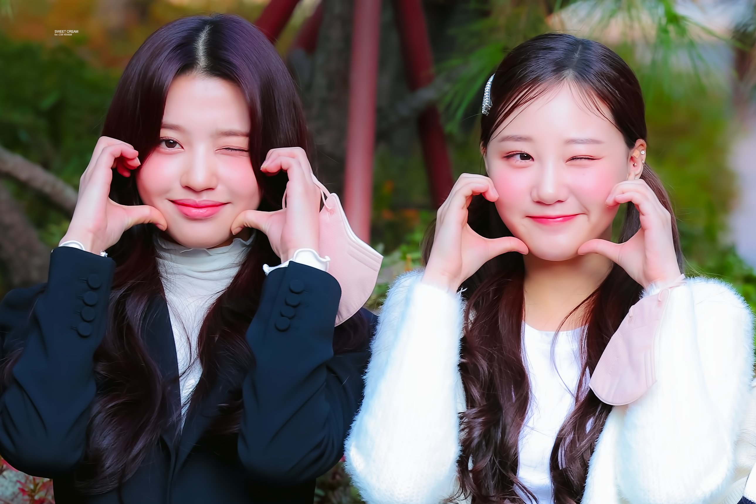 🐻‍ ️🎶 (@yeham_oO) / Twitter