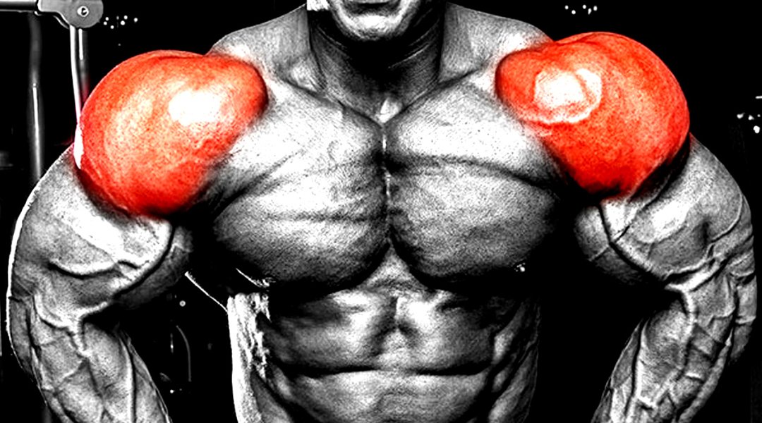 Muscular Delts make you look better, perform better, and feel better ...