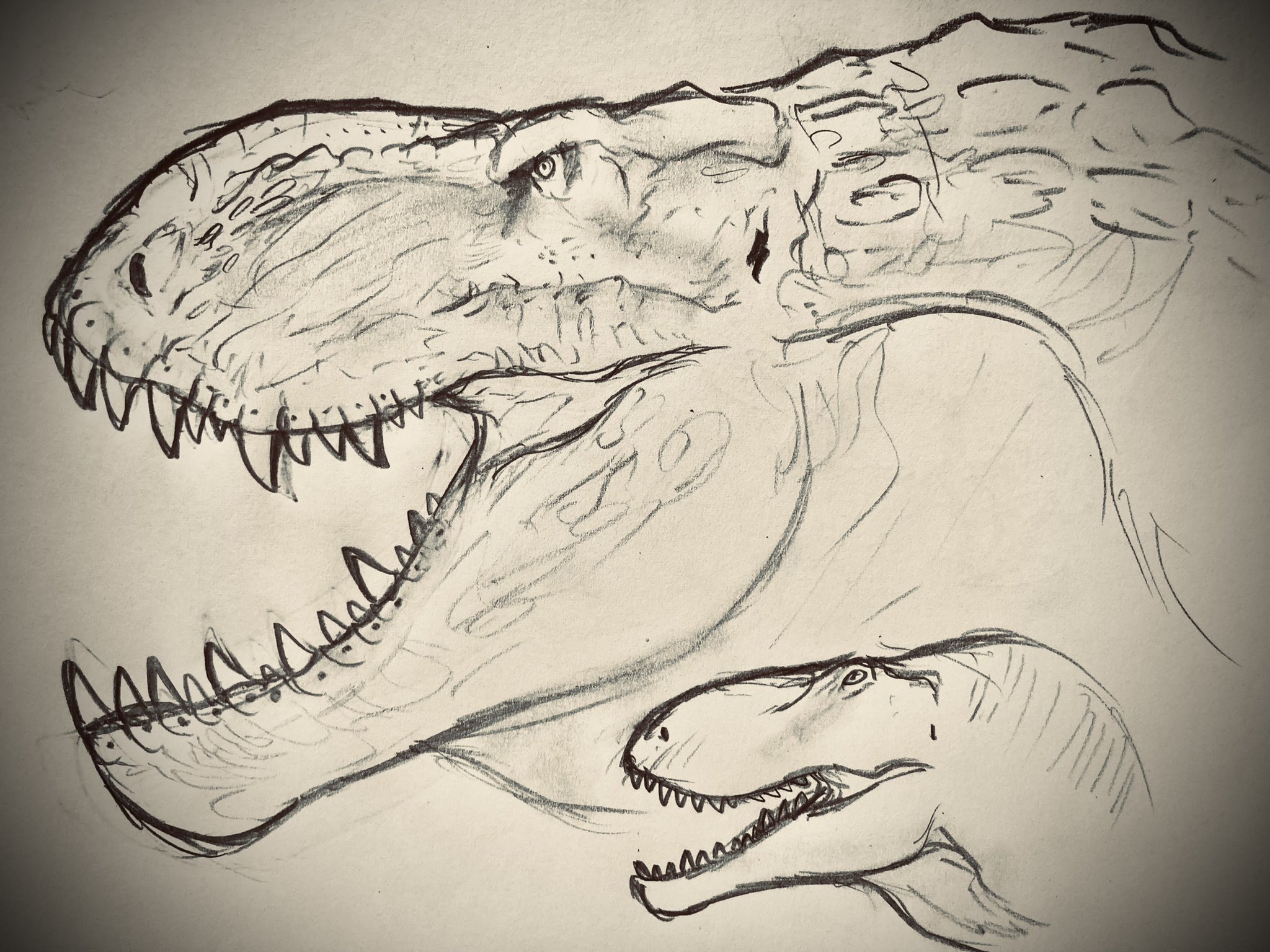 Venatosaurus Drawing