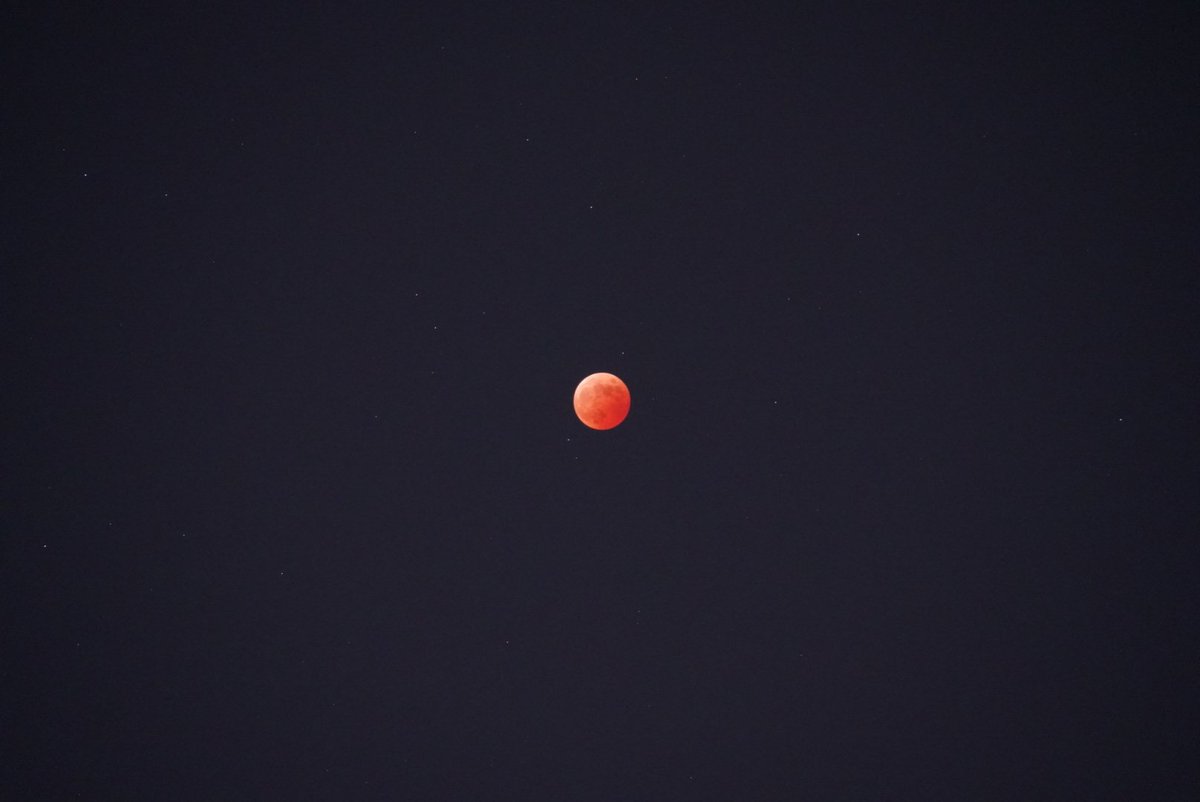 武田葵のプロフィール・画像・写真 | WEBザテレビジョン