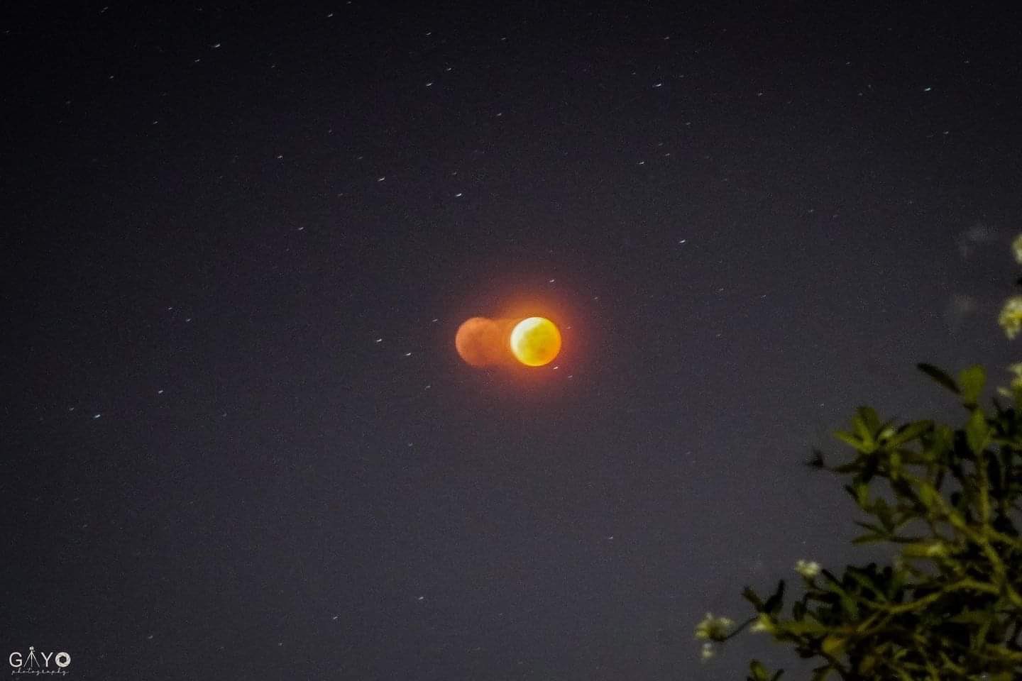 Daily Guardian on Twitter: "LOOK: Photographer Gayo Talero from Oton, Iloilo captured the total ...