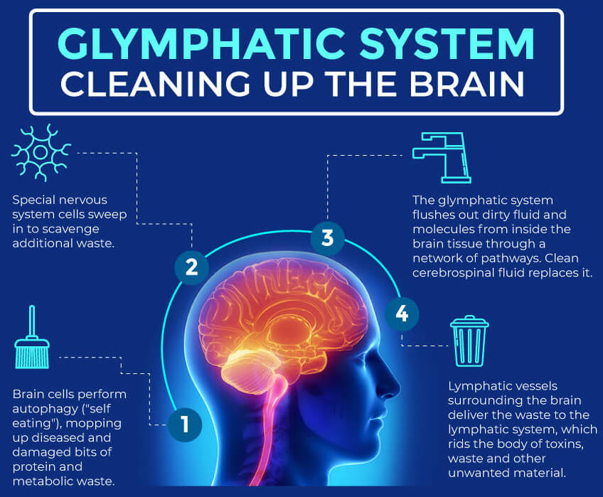 Your brain contains almost 100 billion neurons. Your brain processes ...