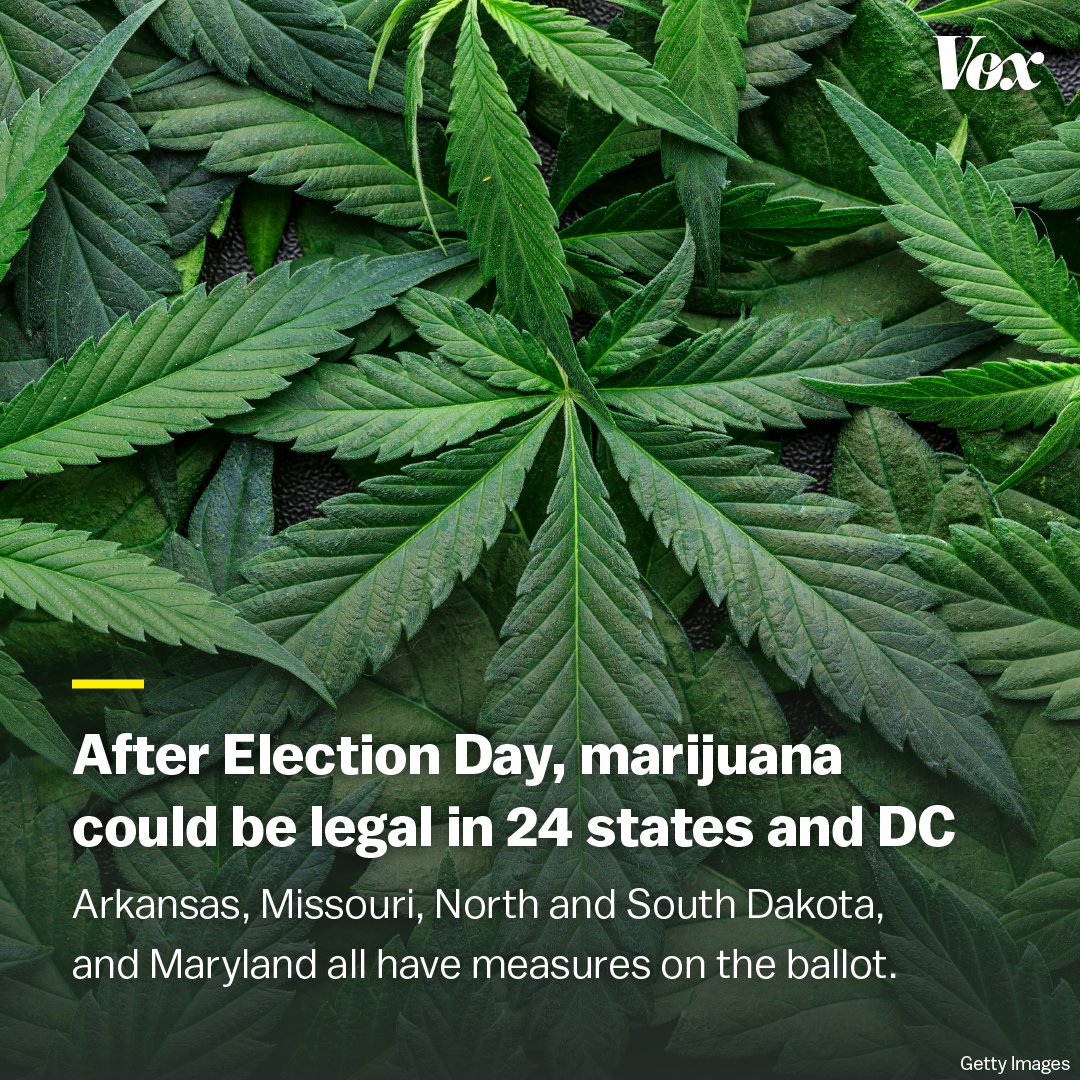 Nisha Chittal (@NishaChittal) / Twitter