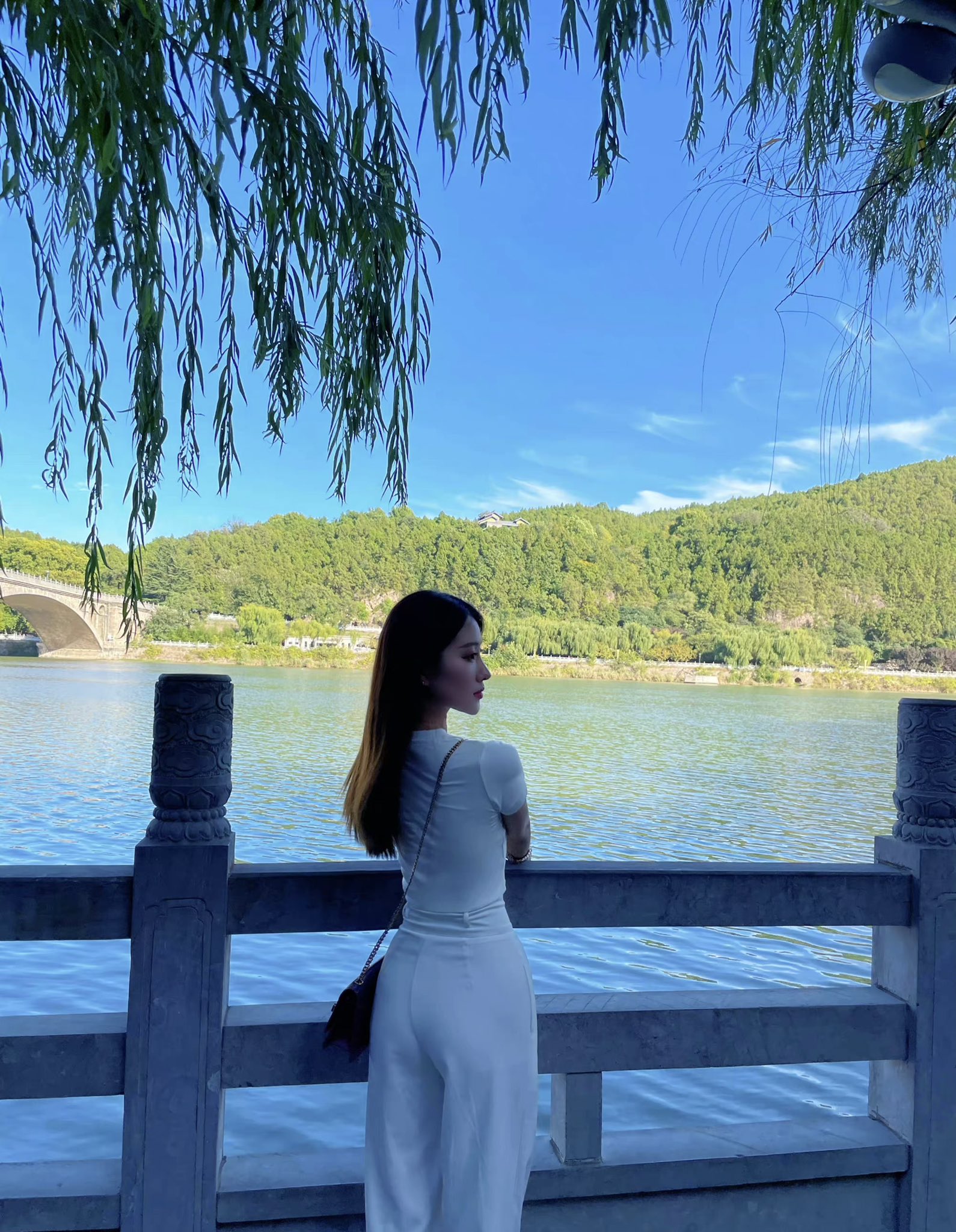 Chenfei (@Cfei118) / Twitter