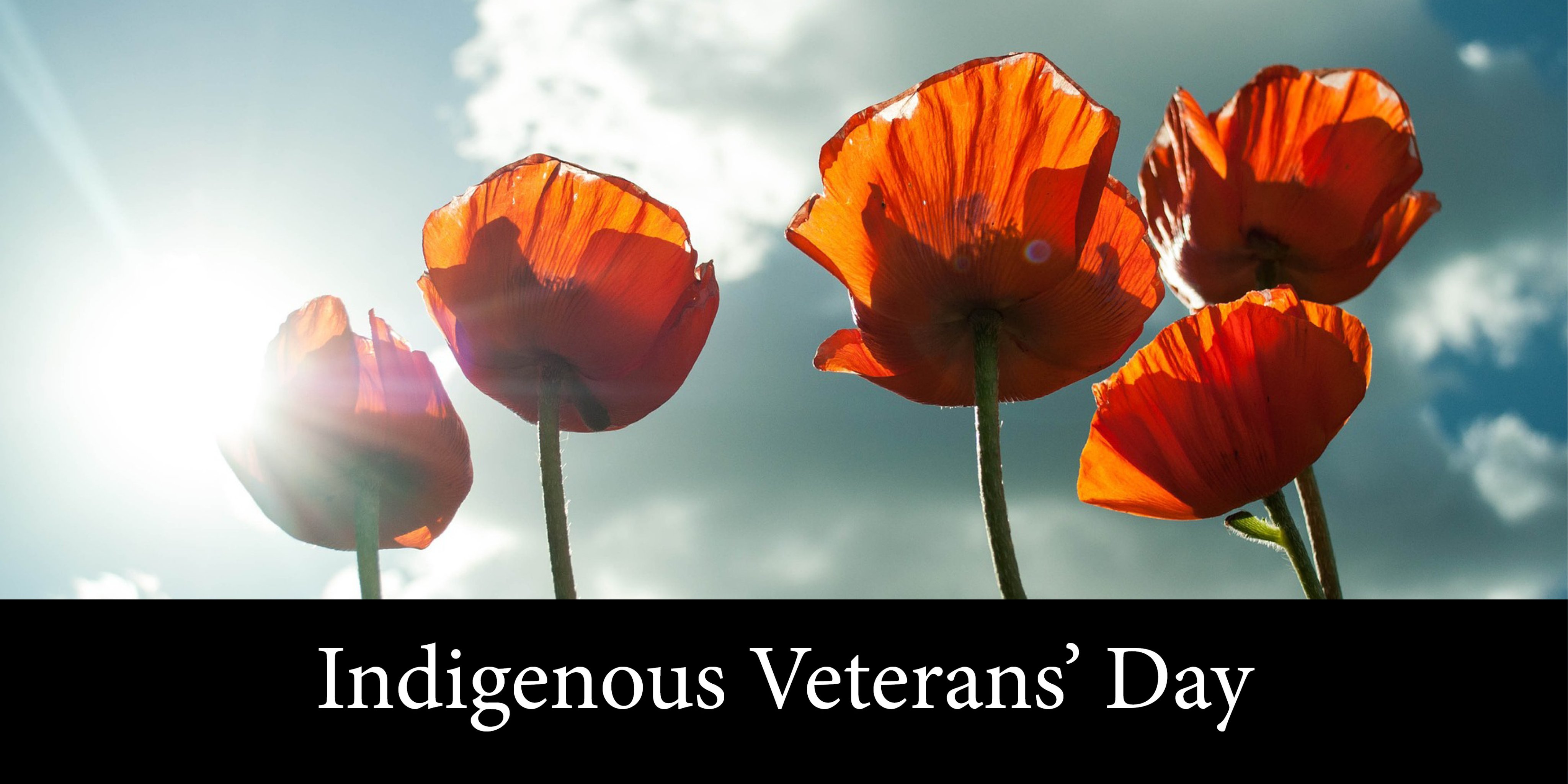 Saskatoon Public Schools on Twitter: "Today is National Indigenous ...