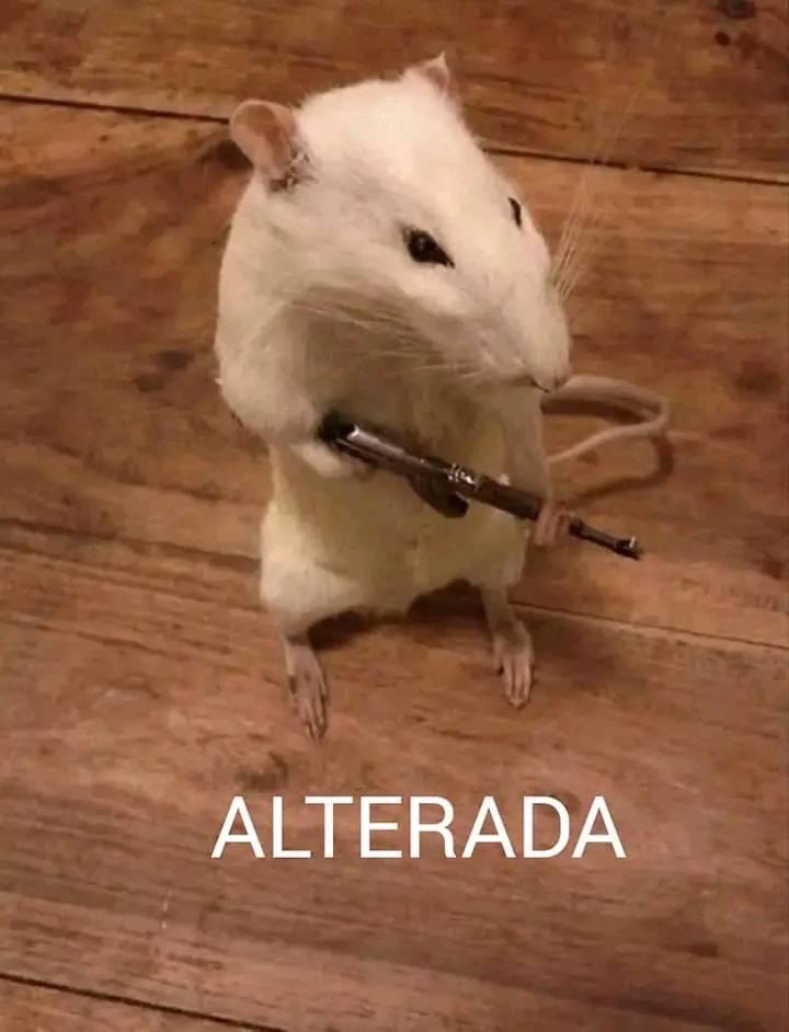 GabsPops on Twitter: "PERO SIEMPRE WEY, LLEGA ALGUIEN GUAPO Y SALE LA CAGA PALOS A HABLARLES ...