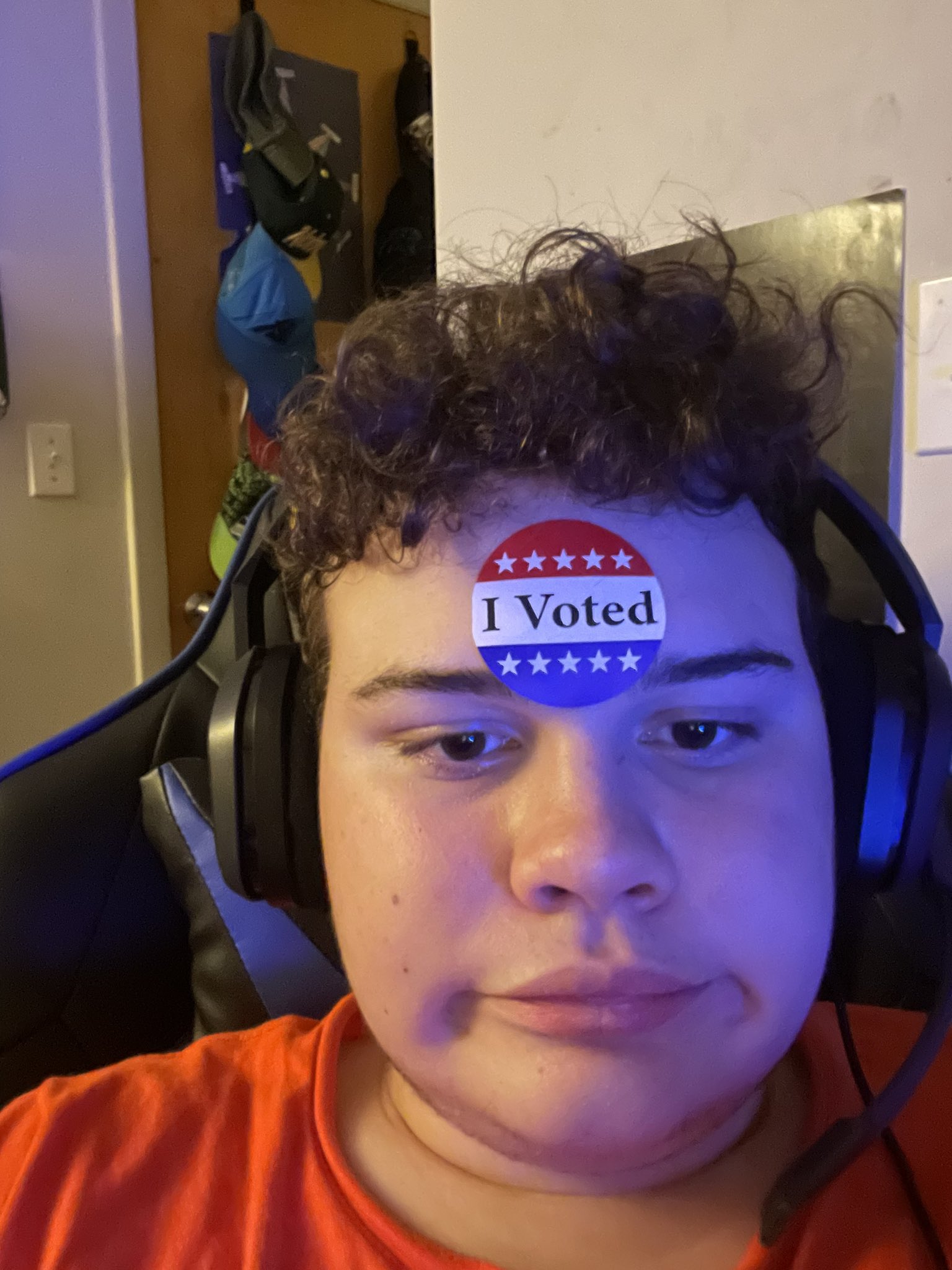 Alex Hirsch On Twitter Vote Do It For The Sticker And Democracy And Whatever